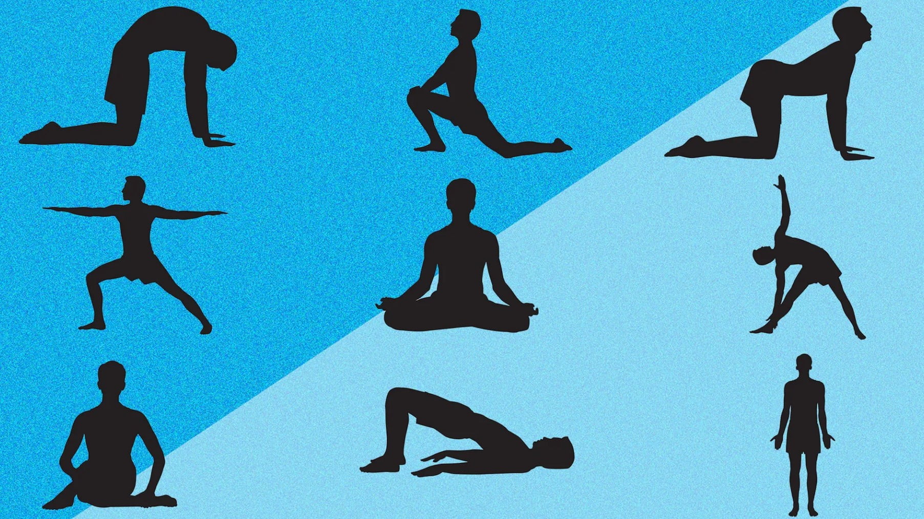 Group Health & Fitness - The Pocklington Bugle